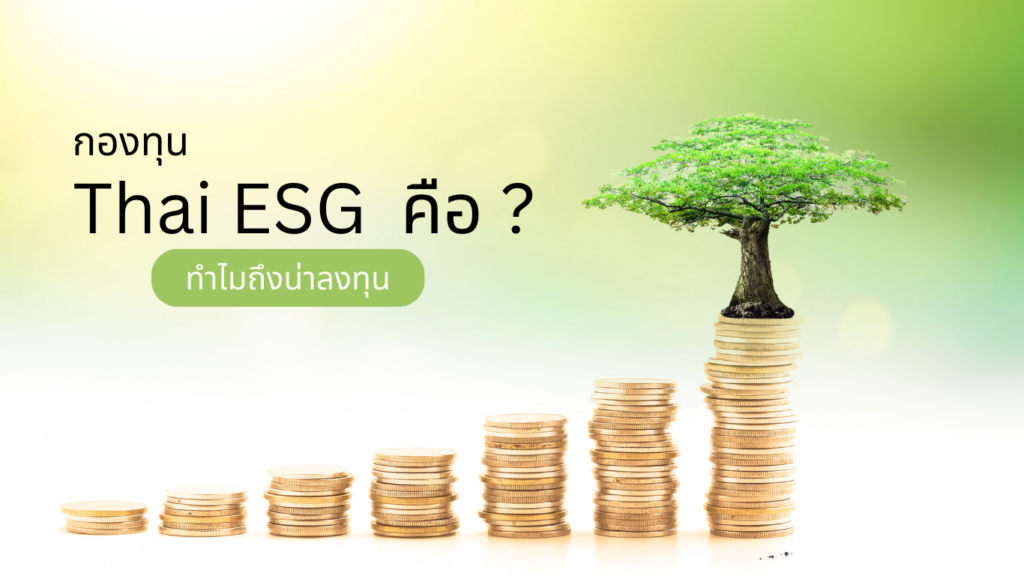 กองทุน Thai ESG คือ อะไร ลดหย่อนภาษีได้เท่าไร อัปเดต 2567